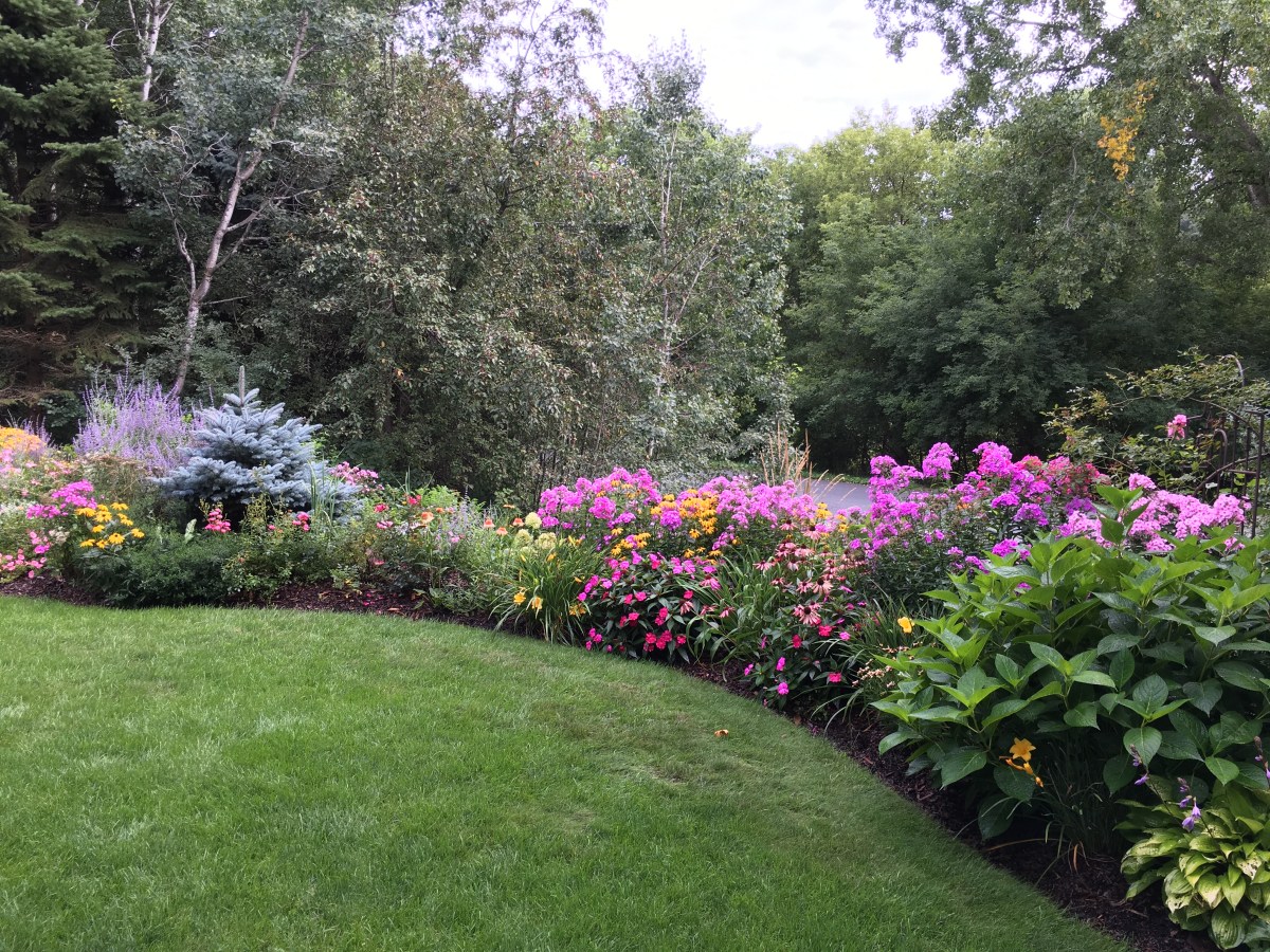 Orchard Gardens Landscape